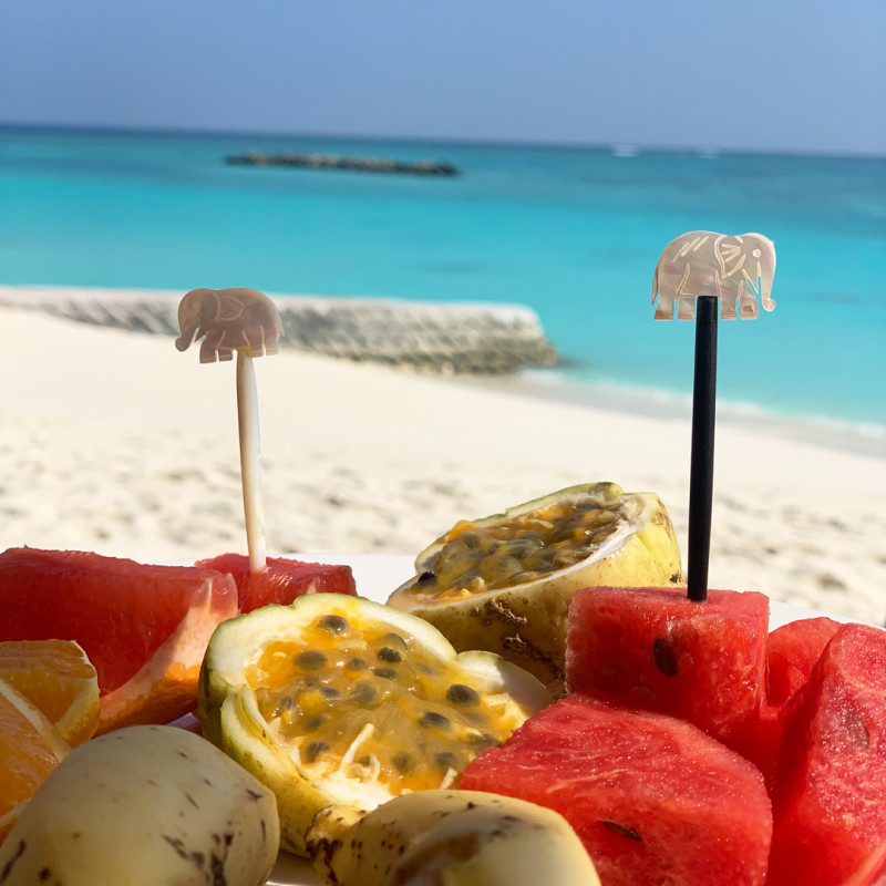 elephant cocktail mother of pearl cocktail stick with elephant